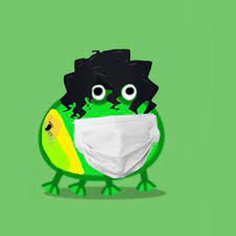 Haikyuu frog pfp's if ur interested 🙃 | Fandom