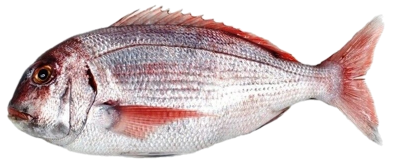 YOU, ME, GAS STATION | Fandom