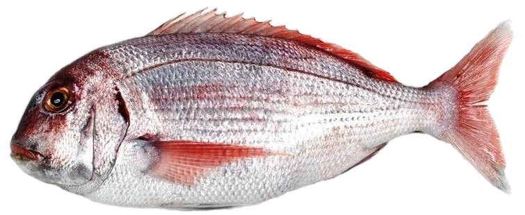 YOU, ME, GAS STATION | Fandom