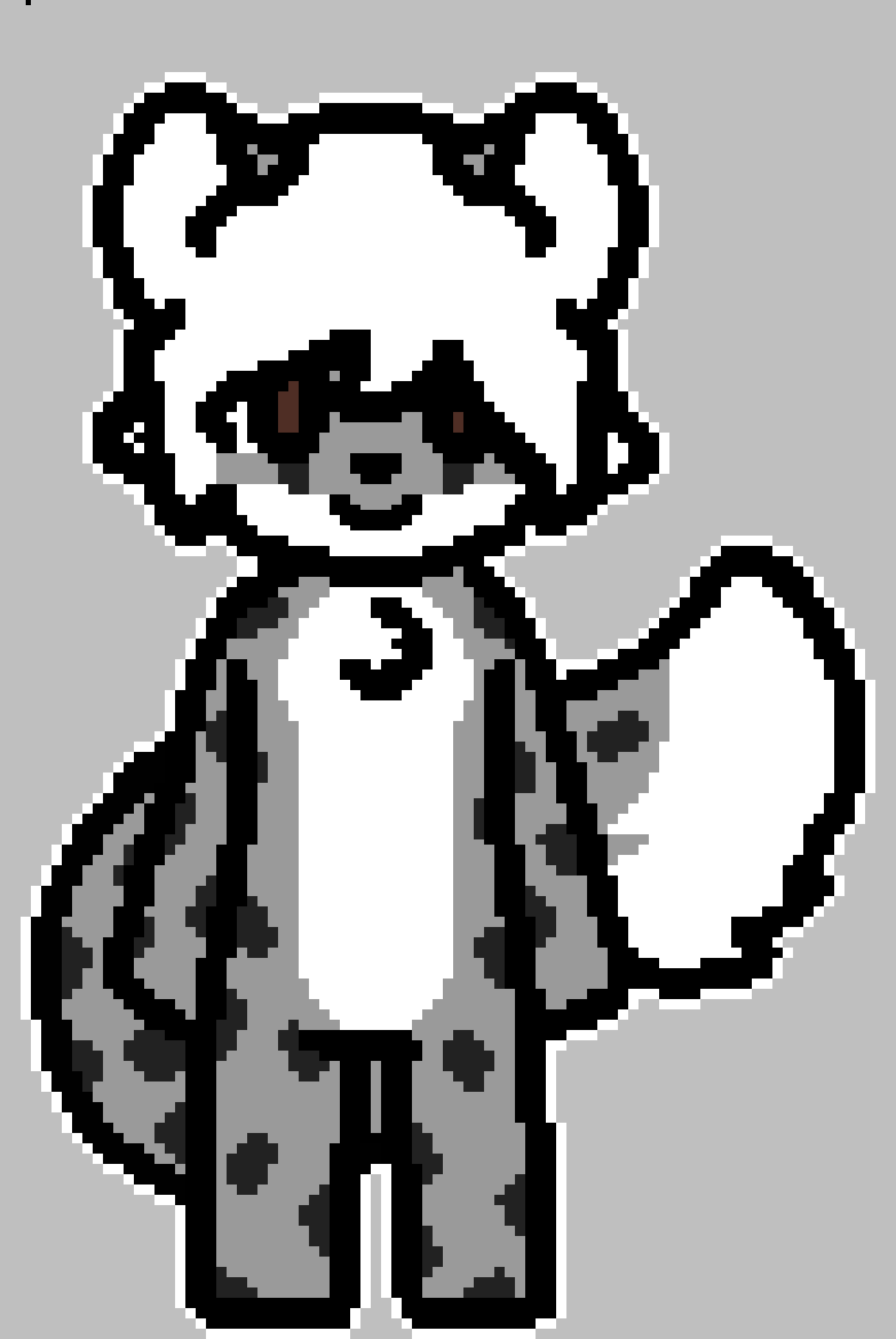 Art: Snow Leopard Enzo v2 | Fandom