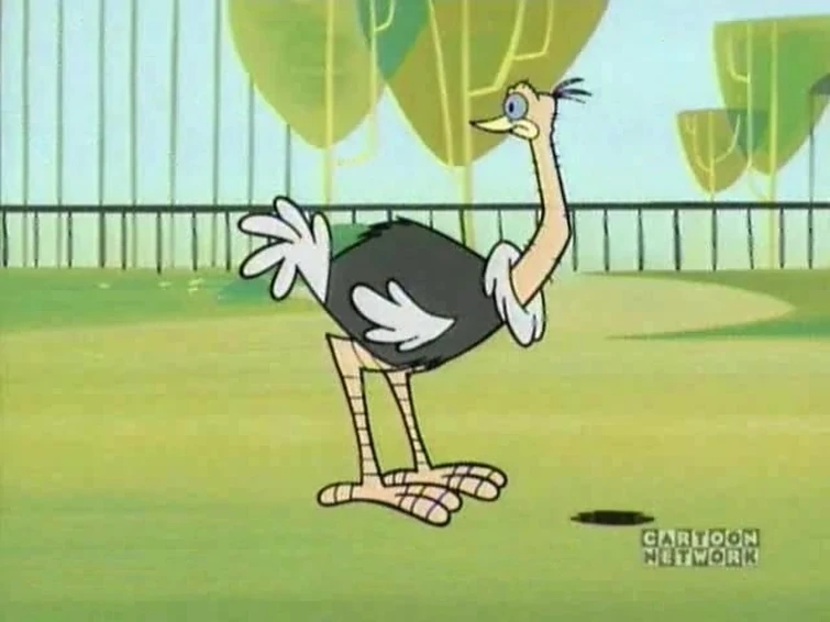 Ostrich Problems | Fandom