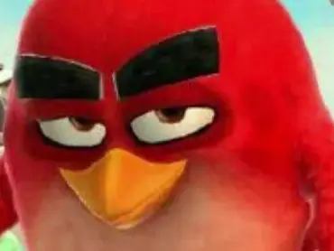 Discuss Everything About Angry Birds Wiki | Fandom