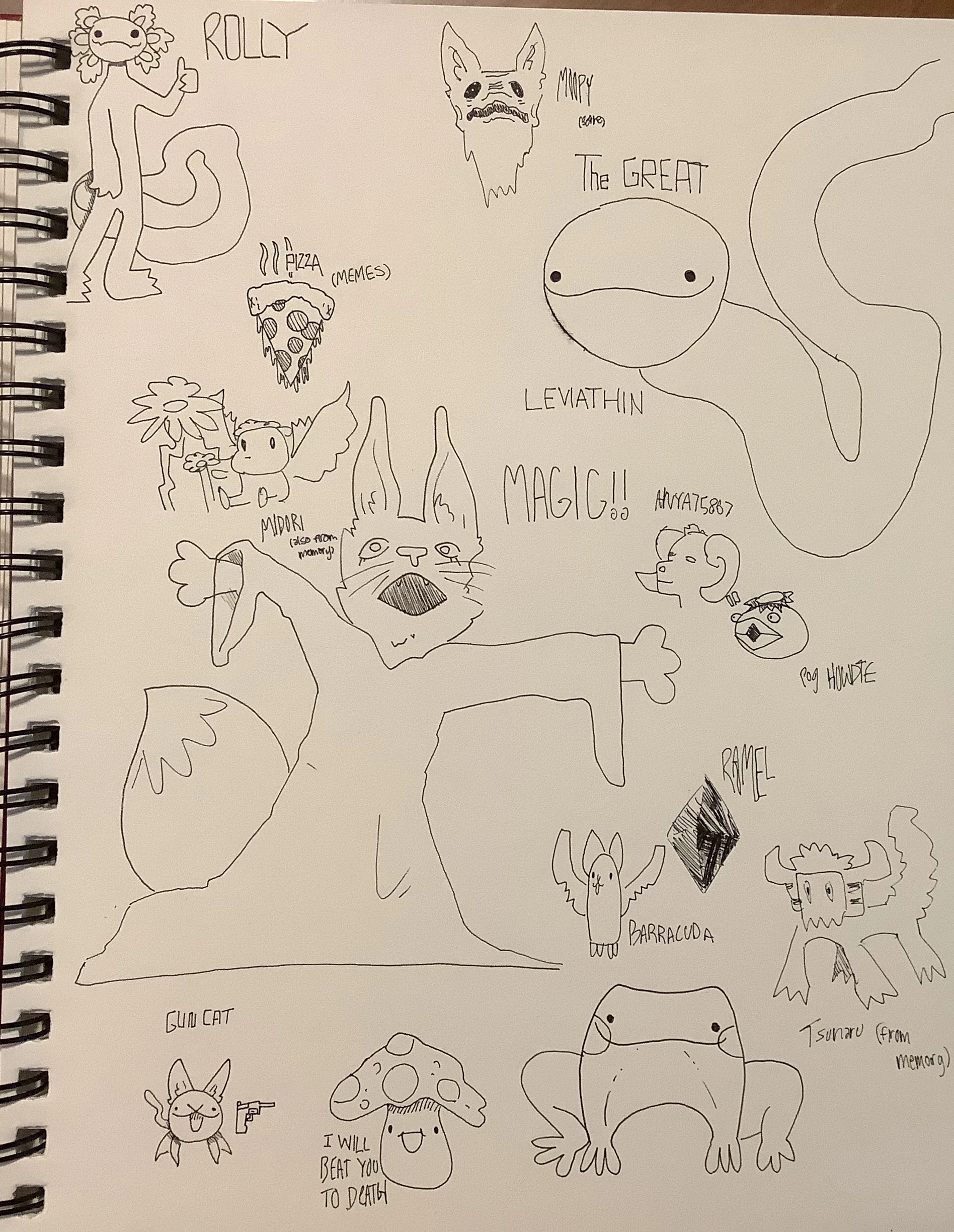 Doodly doodling doodles (ft. Raynard) | Fandom