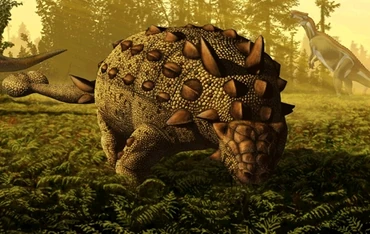 Dinopedia makes a Dinosaur Survival Game:Ankylosaur | Fandom