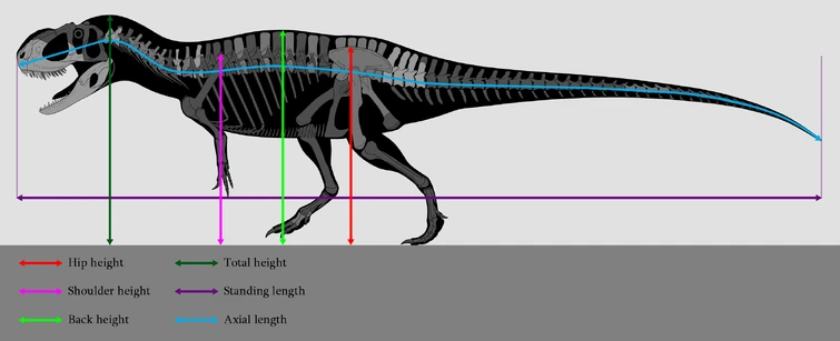 Dinosaur measuring problems... | Fandom