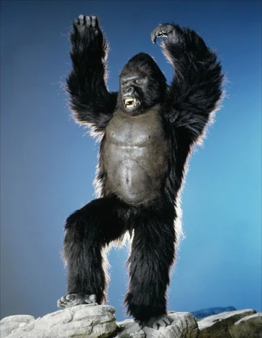 Paramount Kong vs Heisei Godzilla | Fandom