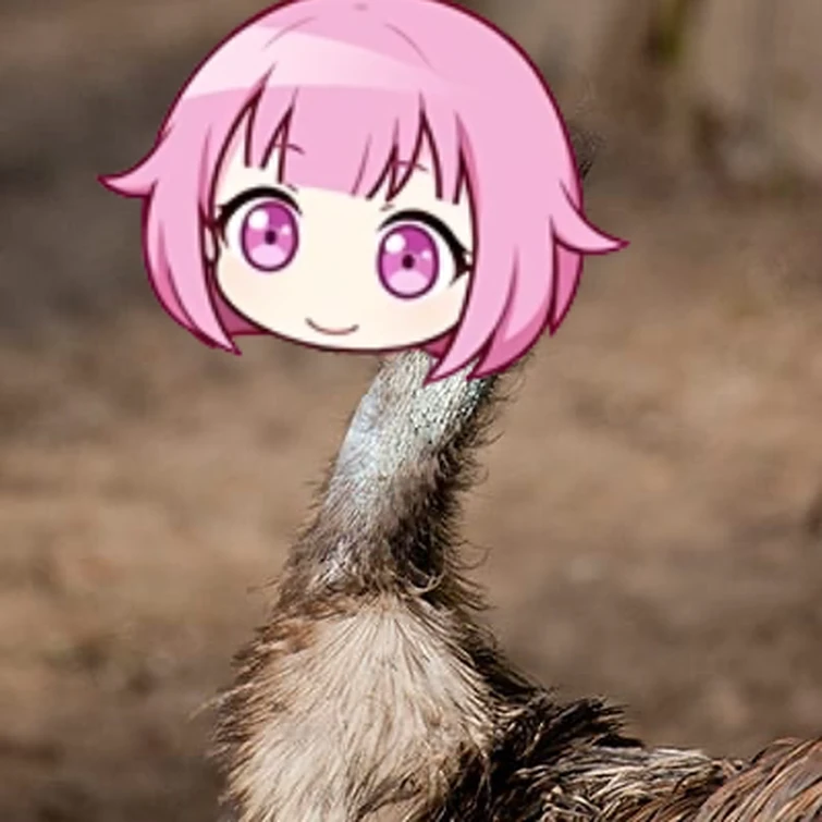 Here, we have the wild emu. | Fandom