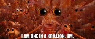 how to create a new moth | Fandom