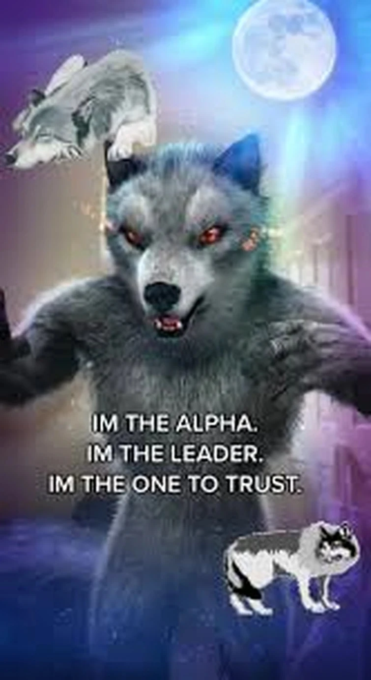 GO TO SLEEP!!!!!!!!! CROAK CROAK CROAK ROORGH ROORGH ROORGH RIBBIT ...