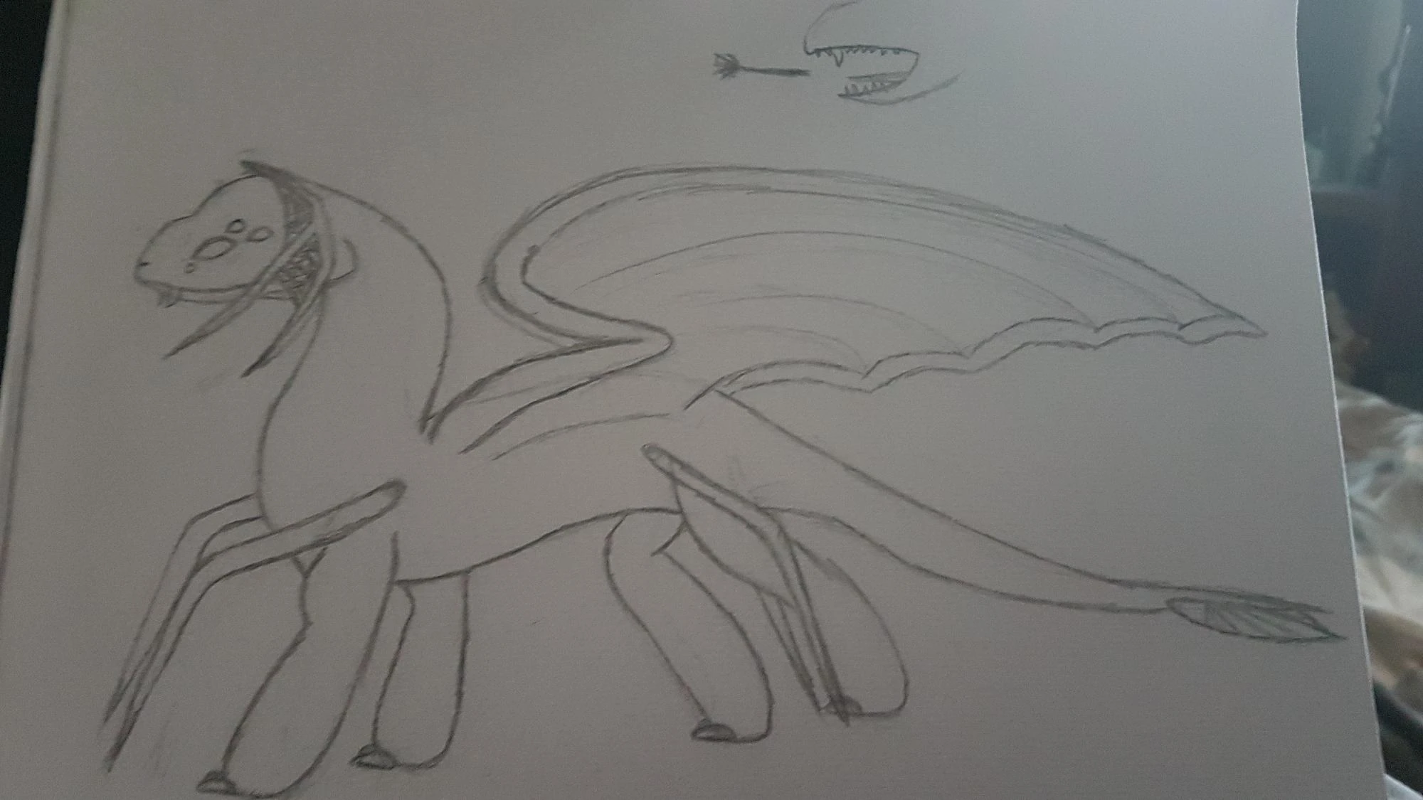 Fan Made dragon | Fandom