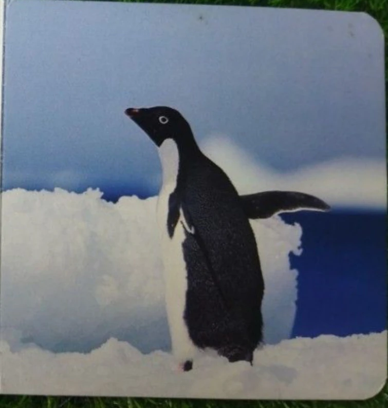 Discuss Everything About The True Baby Einstein Wiki | Fandom