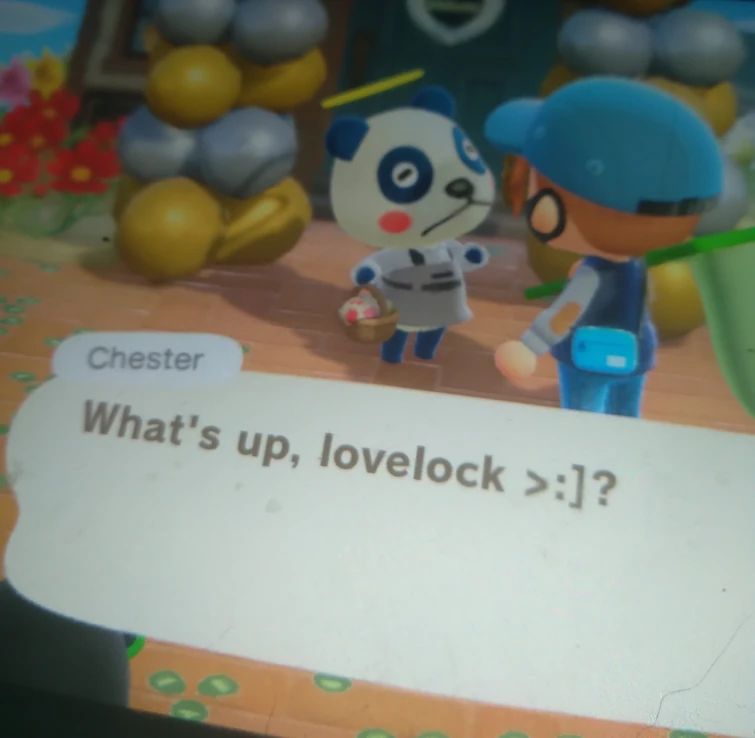 Discuss Everything About Animal Crossing Wiki | Fandom
