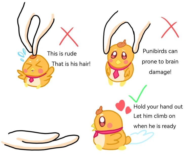 How to take care of Tsubasa | Fandom