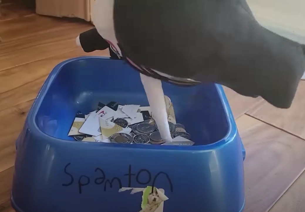 my favourite screenshots from the spamton plushie ad | Fandom