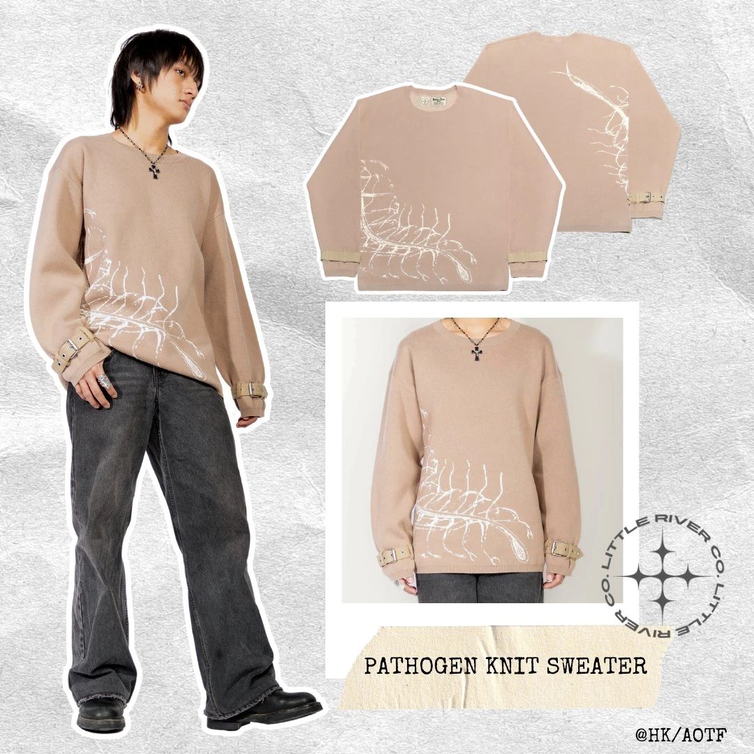 Anomaly official name? | Fandom