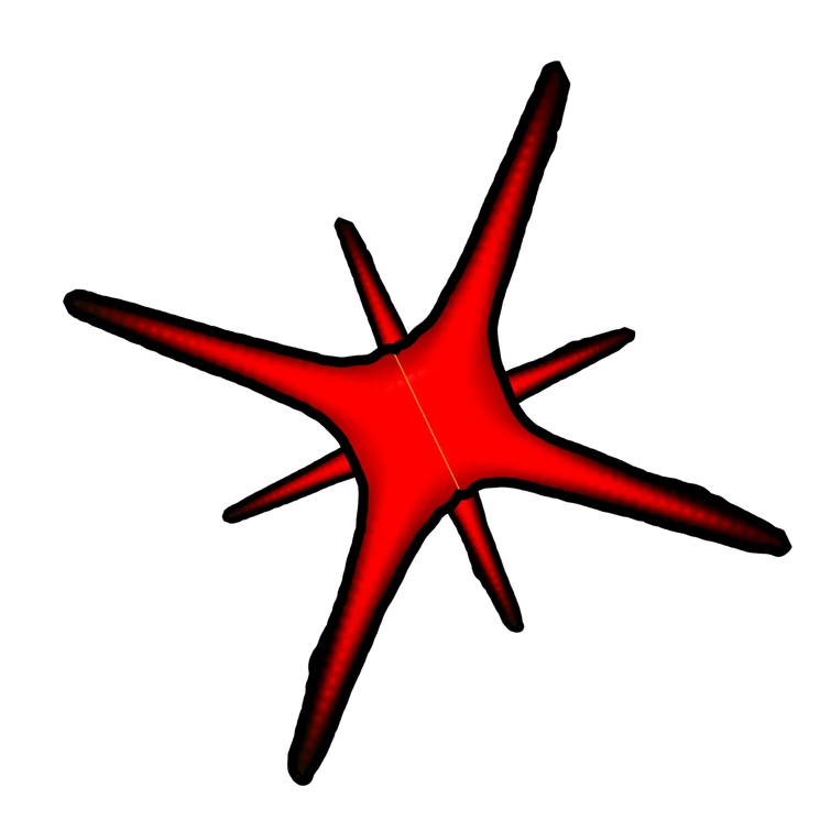 Can anyone give me an image of sols rng star? 2 of them? | Fandom