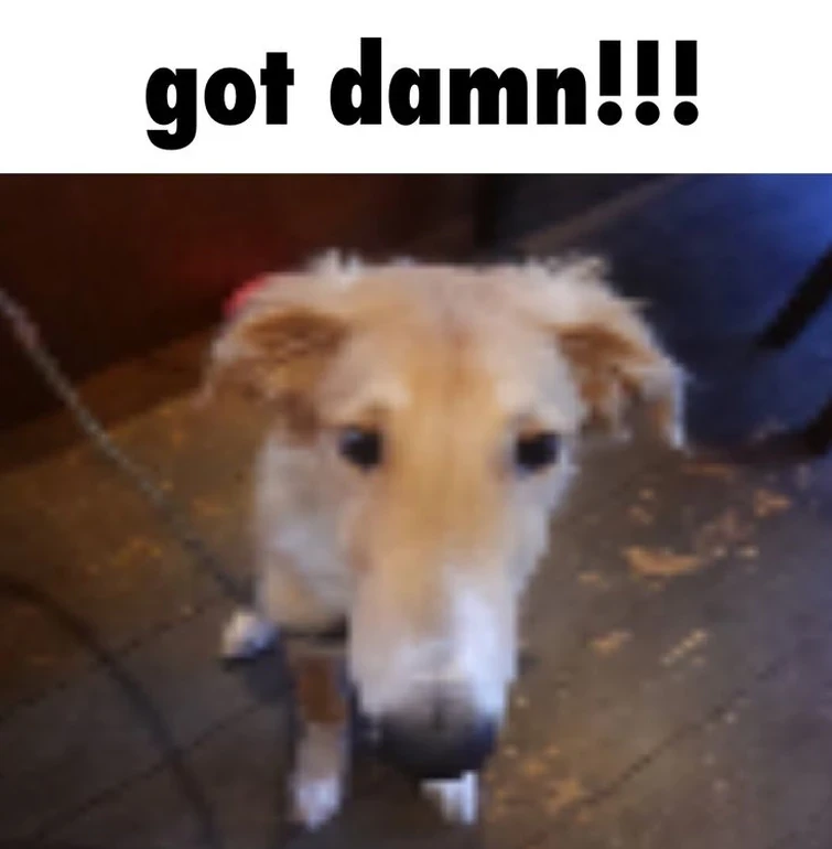 got damn!!! | Fandom