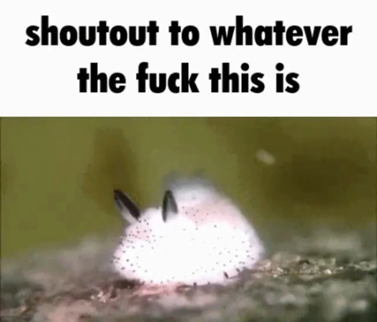 haters gonna hate but | Fandom