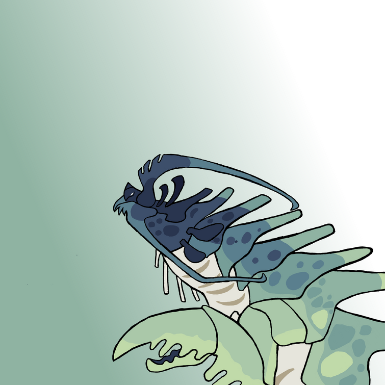 Drawing Creatures A-Z: Arachyu | Fandom