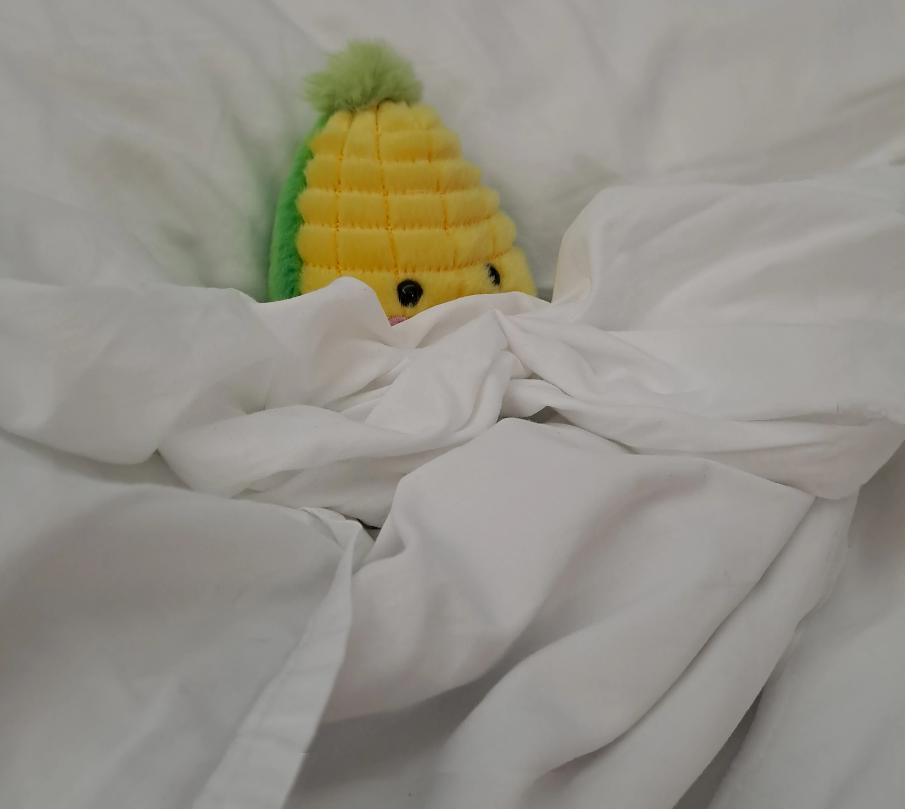 steve cobs say honk shoo | Fandom