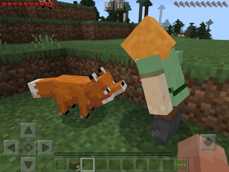 Discuss Everything About Minecraft Wiki | Fandom