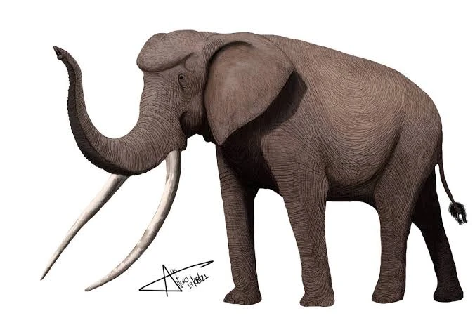 How can another elephant-like creature be different (by design) from ...