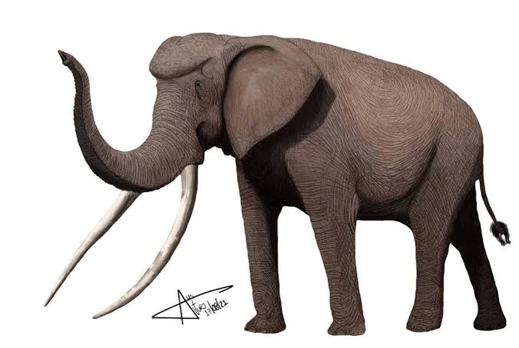 How can another elephant-like creature be different (by design) from ...