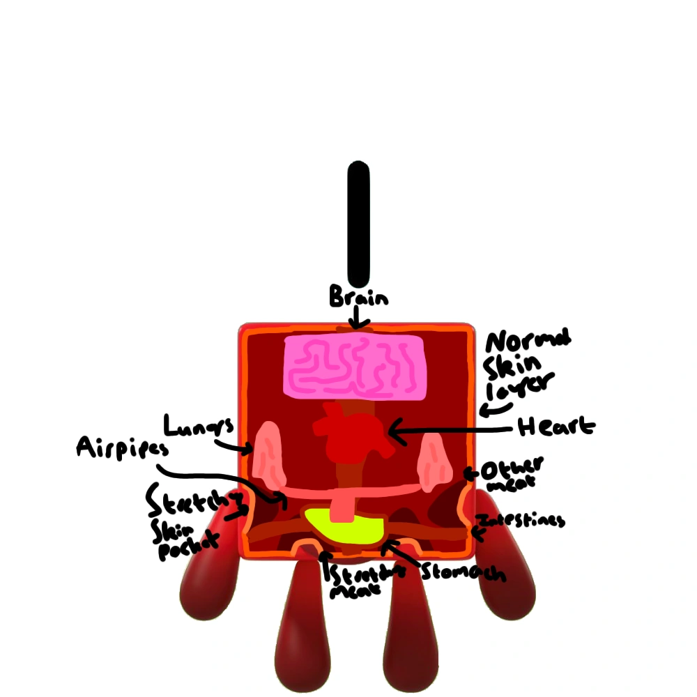 Numberblock Anatomy Prediction | Fandom