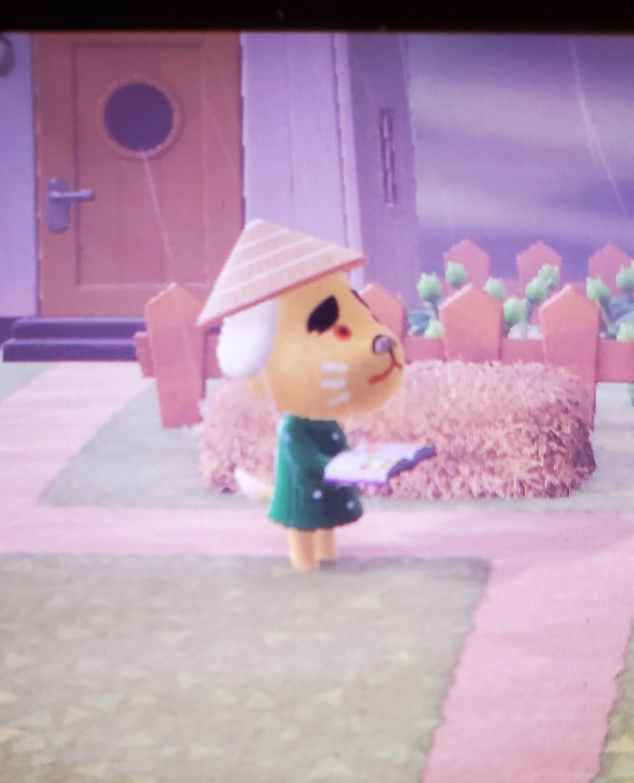 Hello everyone, This is YOUR daily dose of Benjamin. | Fandom