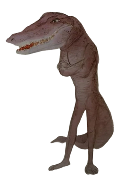 Discuss Everything About NatureRules1 Wiki | Fandom
