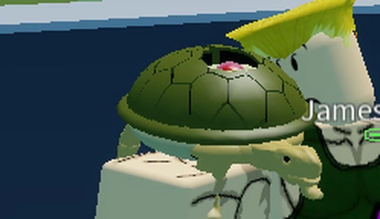 Cool turtles! | Fandom