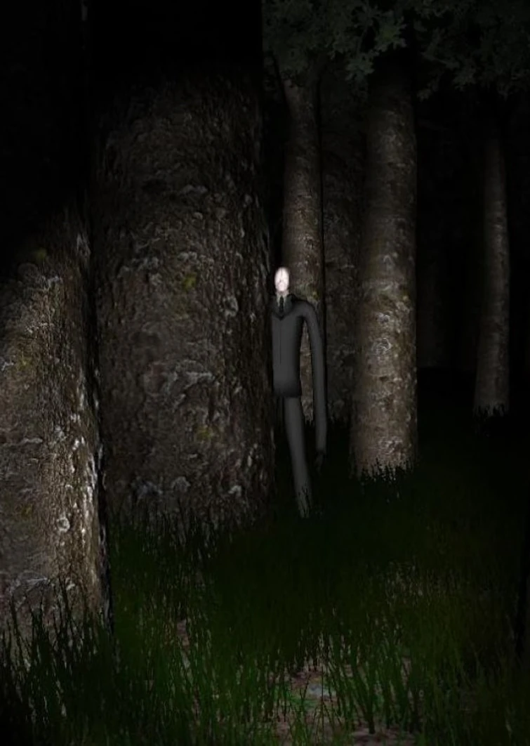 My favorite horror game is Slender the Eight Pages. | Fandom