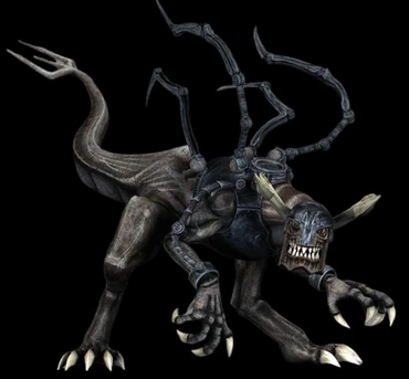 Discuss Everything About Wookieepedia | Fandom