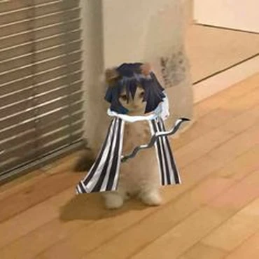 Change pfp, choose one | Fandom