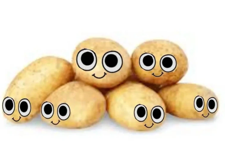 What are the most random images you saved | Fandom