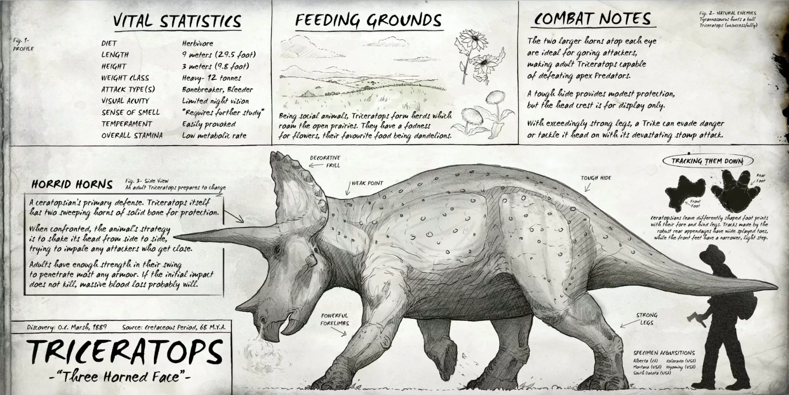 Triceratops from the isle | Fandom