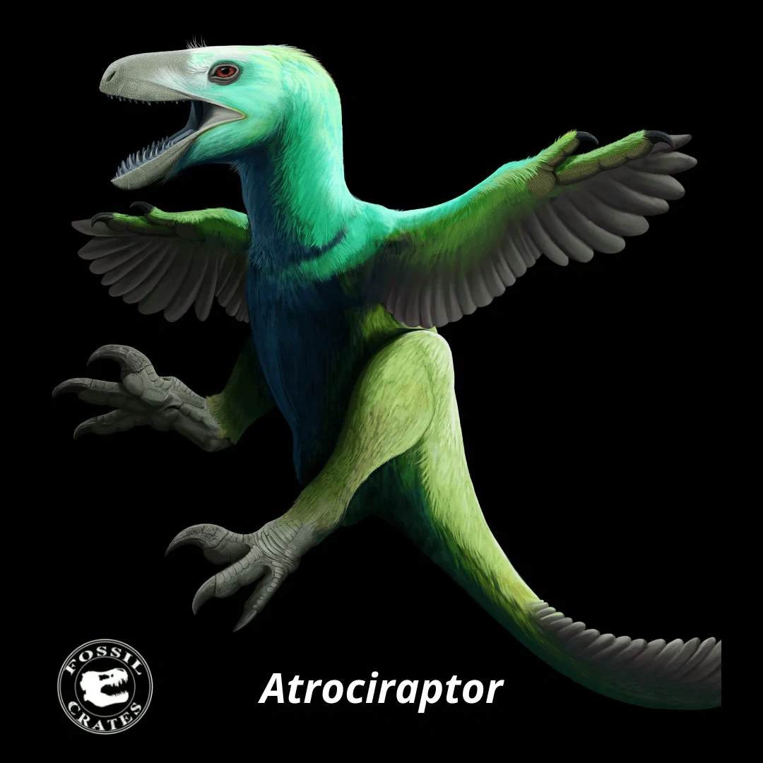 Paleoplanet Profile:Atrociraptor | Fandom