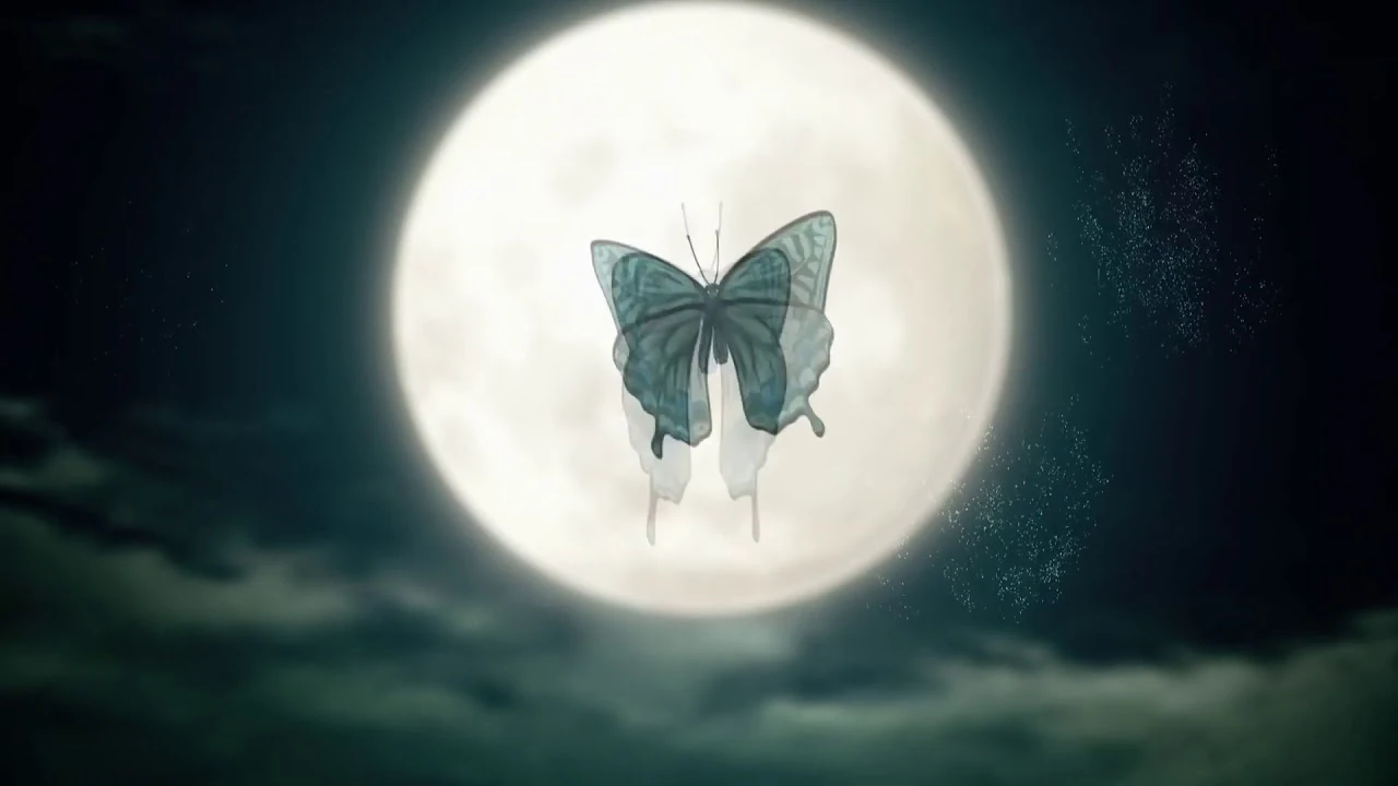 Using closed wing mode | Fandom
