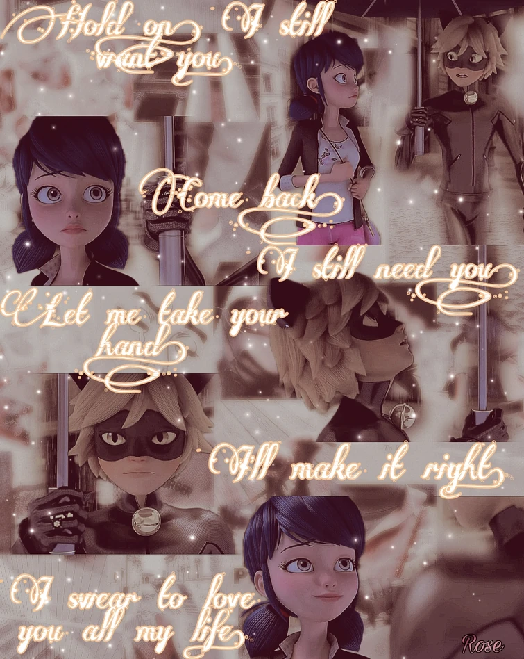🌹Miraculous edits #15 🌹 | Fandom