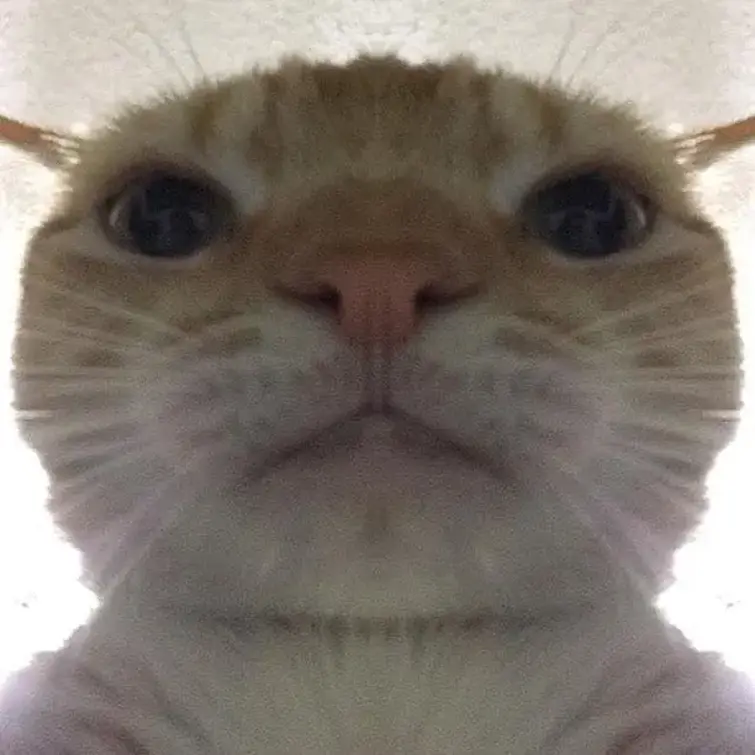 Discuss Everything About The Beluga Cinematic Universe Wiki | Fandom