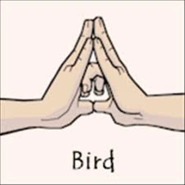 Discuss Everything About Narutopedia | Fandom