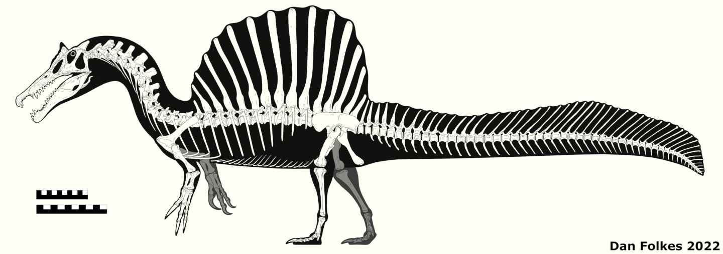 Dans New Spino | Fandom