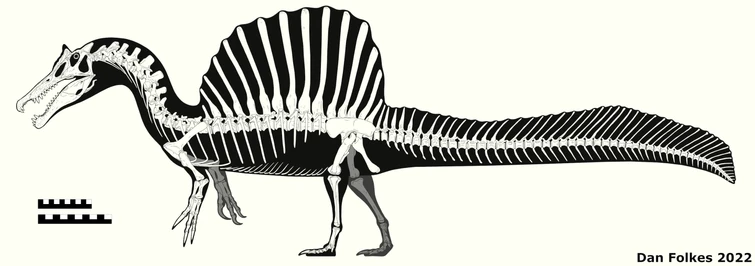 Dans New Spino | Fandom