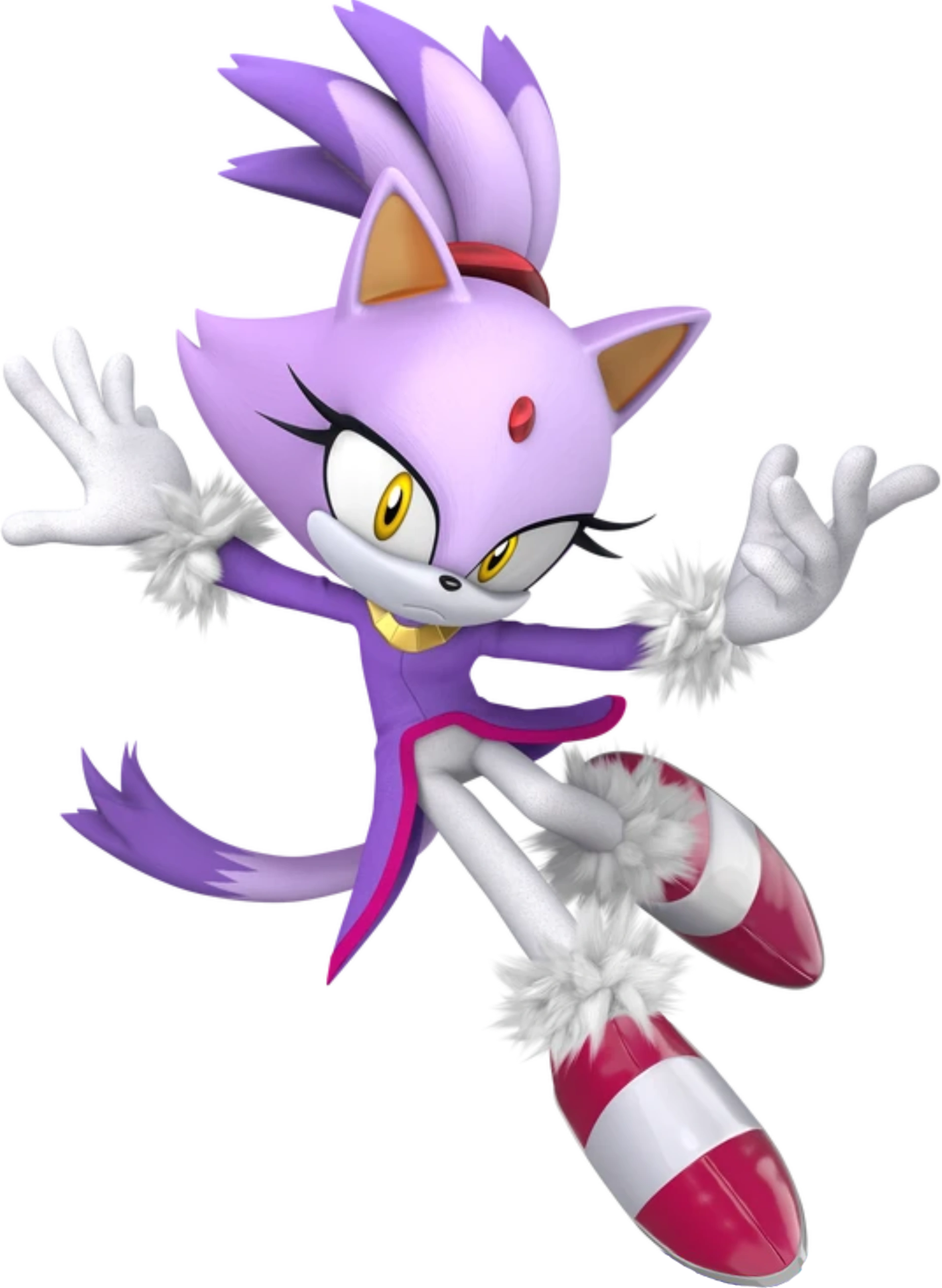 Happy Anniversary, Blaze The Cat! | Fandom