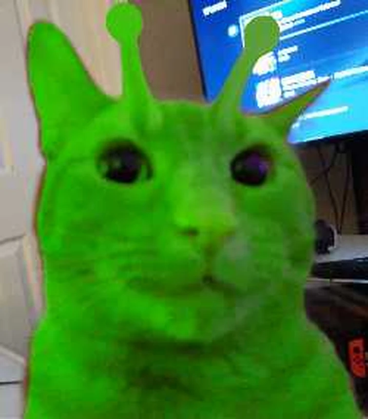 Boy why you so gnarp gnarp | Fandom