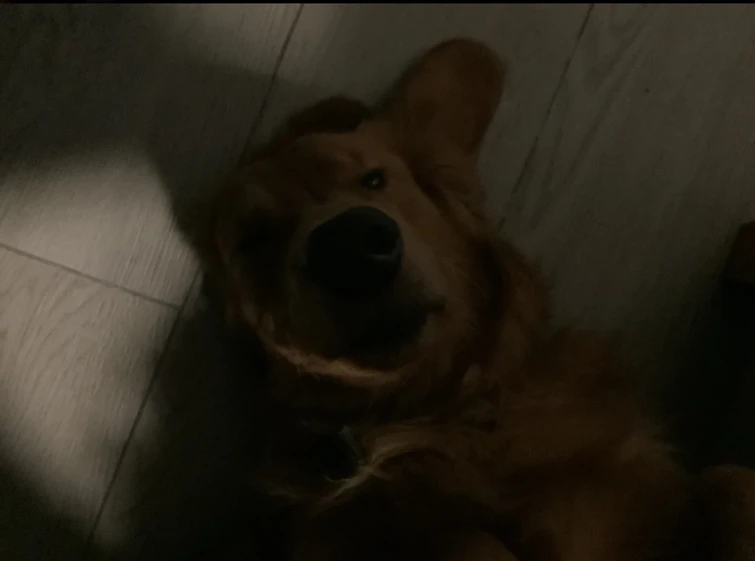 Me and bro finally being serious on the math homework that ms circle ...