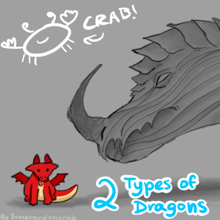 2 types of dragons | Fandom