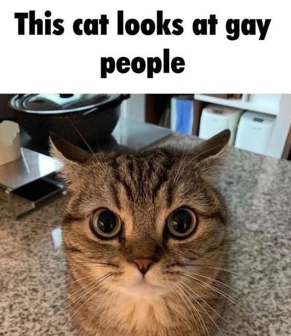 Hmmmmmmmmmmmmmmmm | Fandom