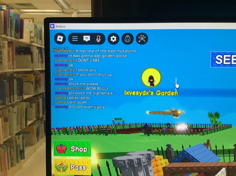 Bros a bully | Fandom