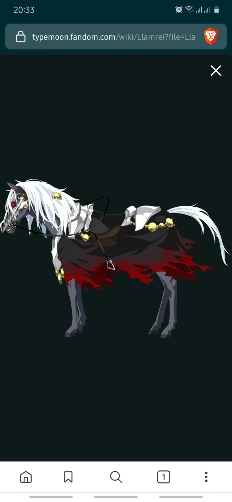 Choose your 🐴 👟! | Fandom